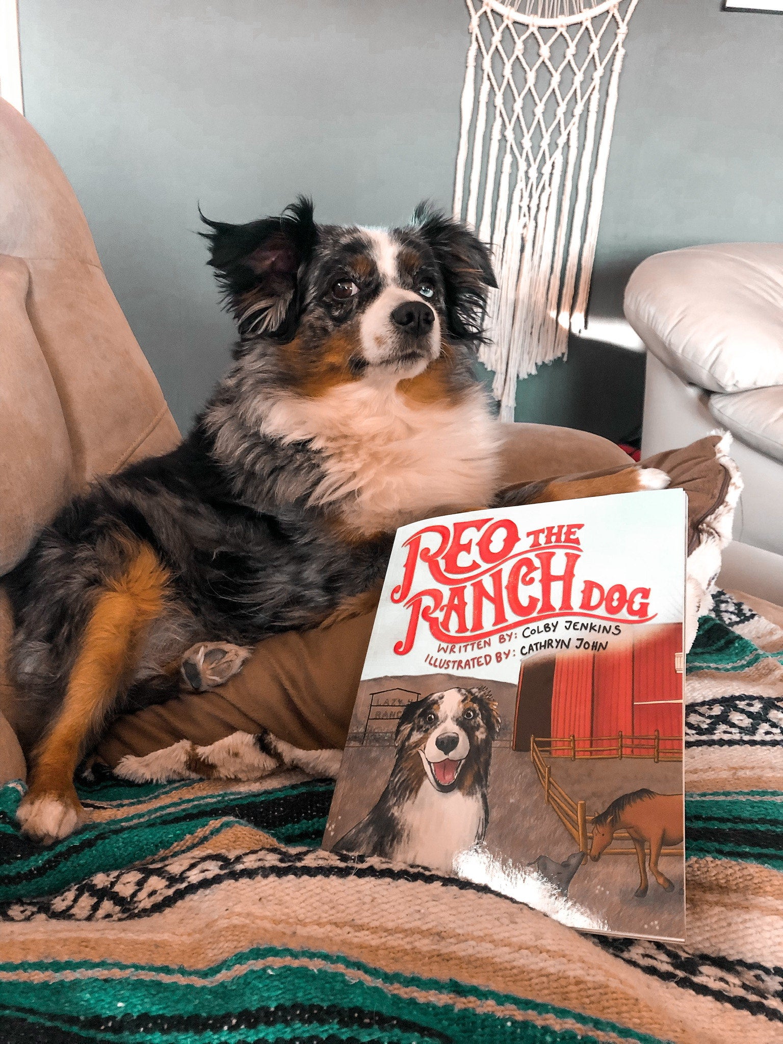 Reo the Ranch Dog – RANCHERR