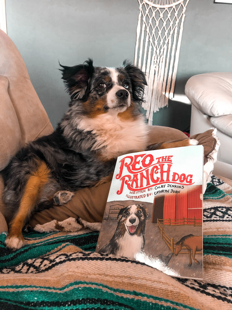 Reo the Ranch Dog – RANCHERR